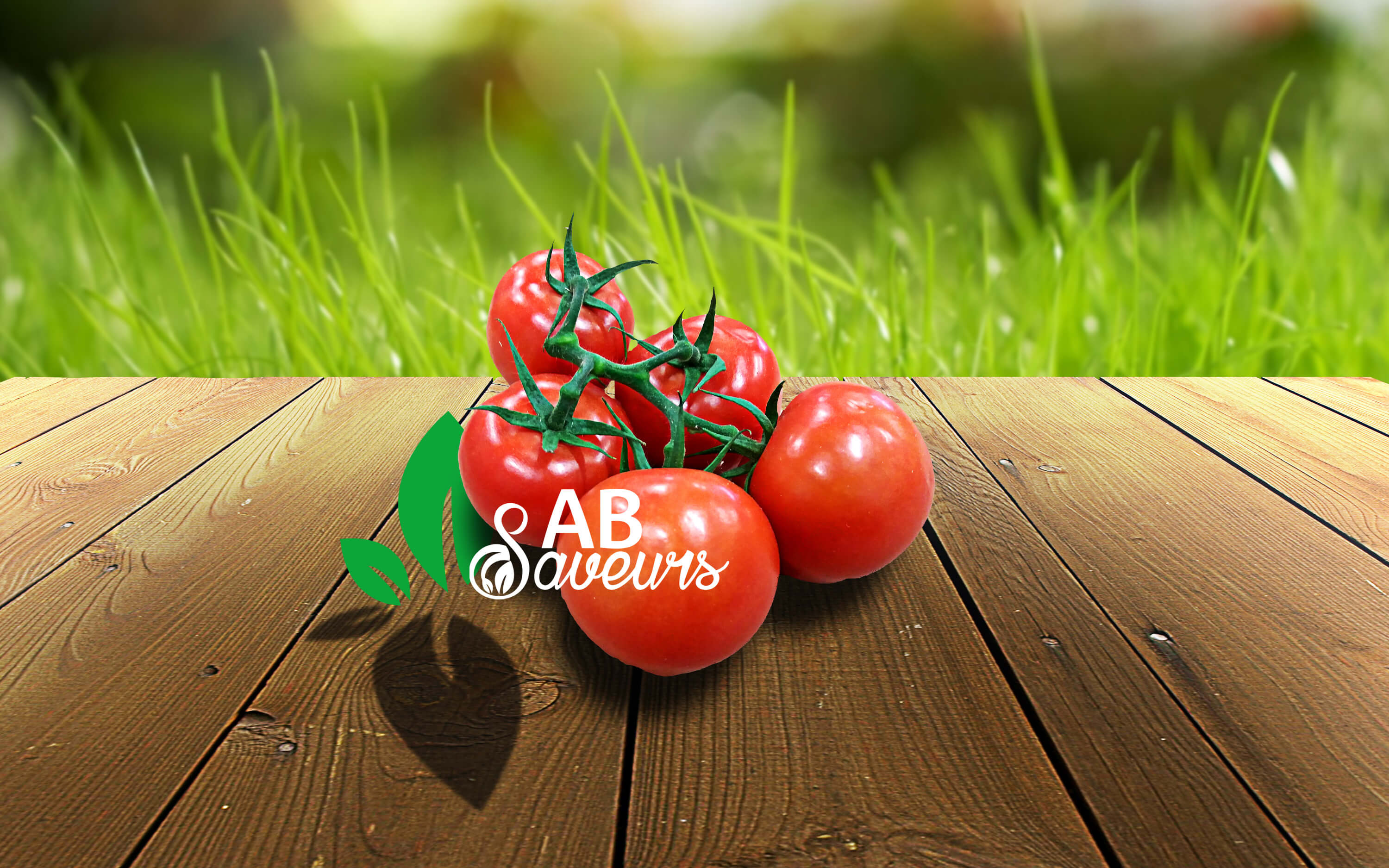 AB Saveurs, légumes bio de Bretagne - AB Saveurs, légumes bio de Bretagne